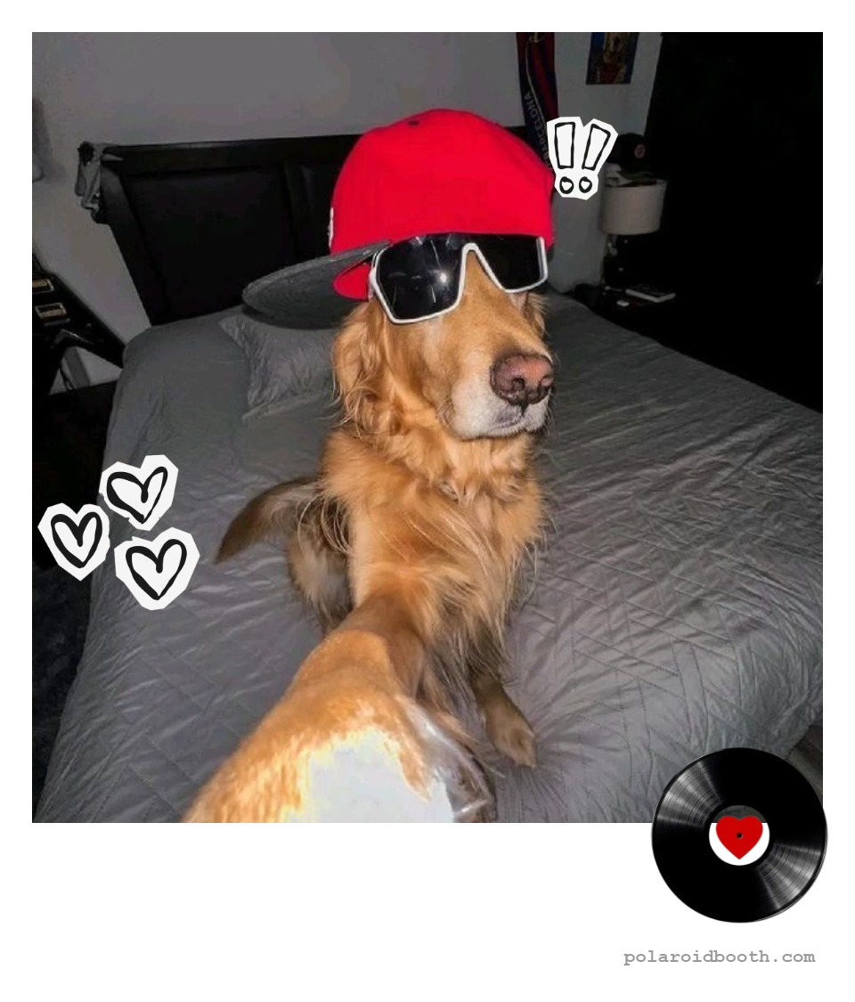 Polaroid Booth - Free Online Aesthetic Photobooth